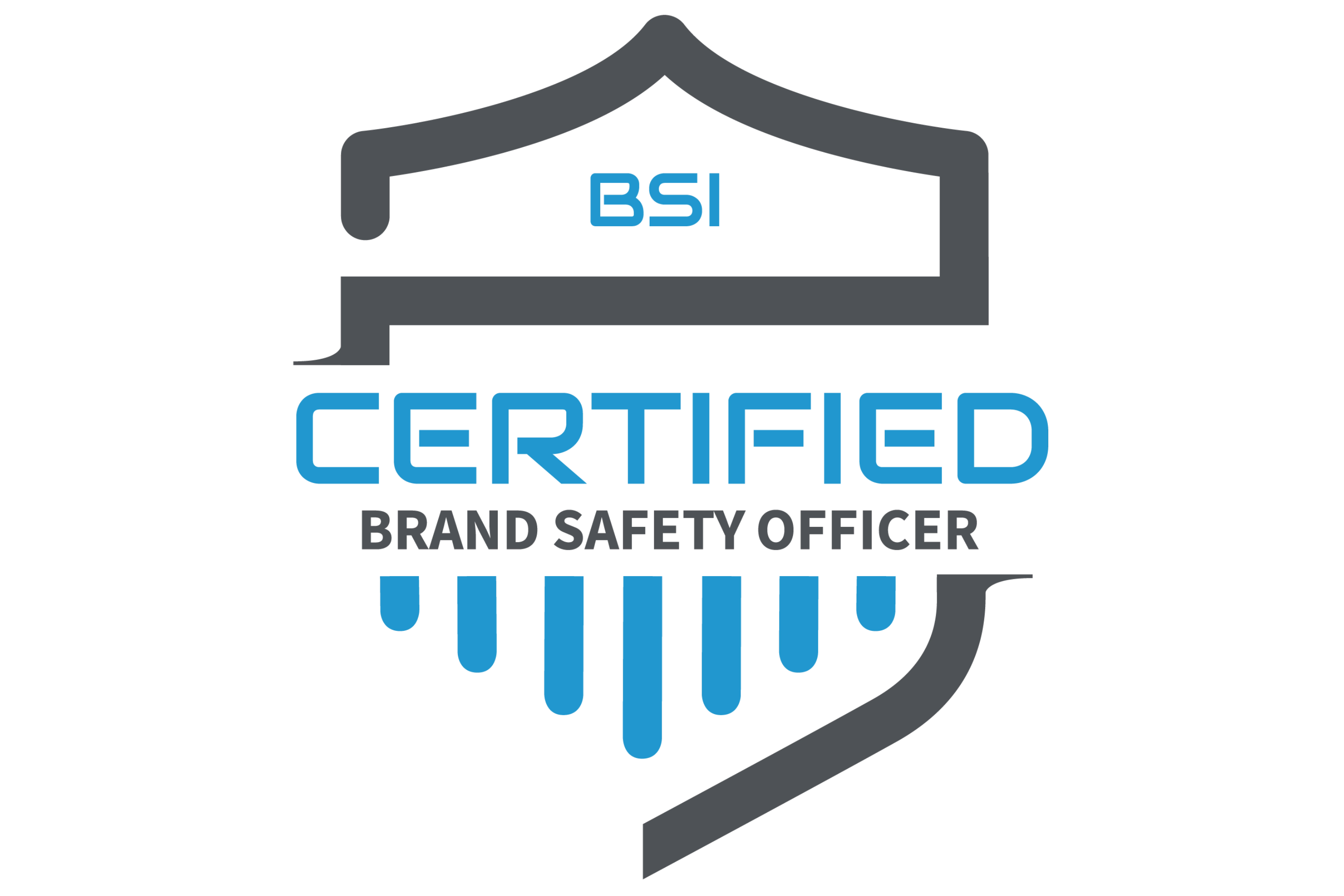 BSI Learning Platform